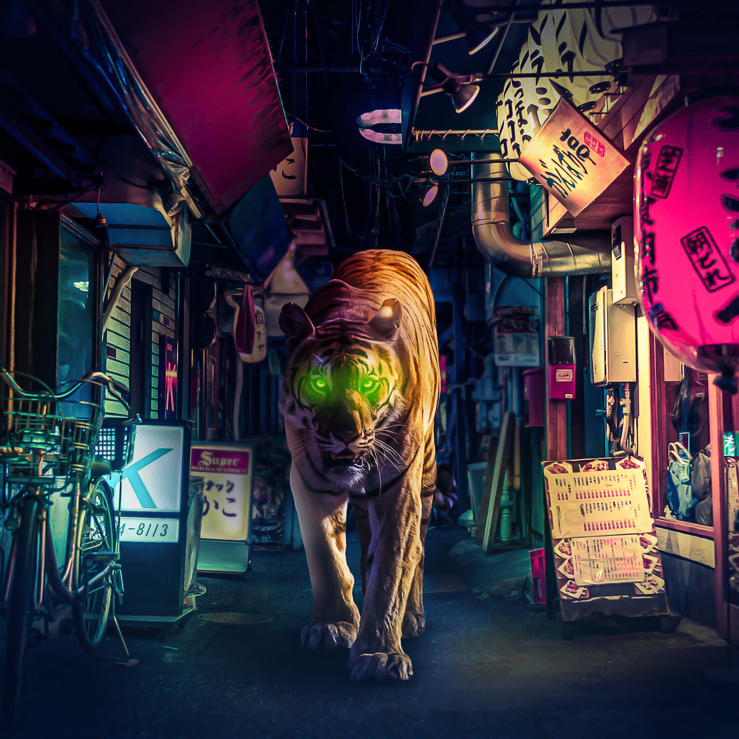 Ps Practice – cedar